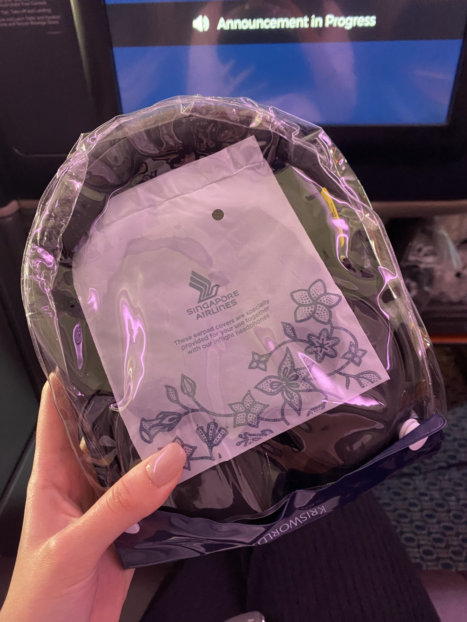 【搭乗記】シンガポール航空ビジネスクラス（NRT-SIN）A380-800 | CocoRi TRIP