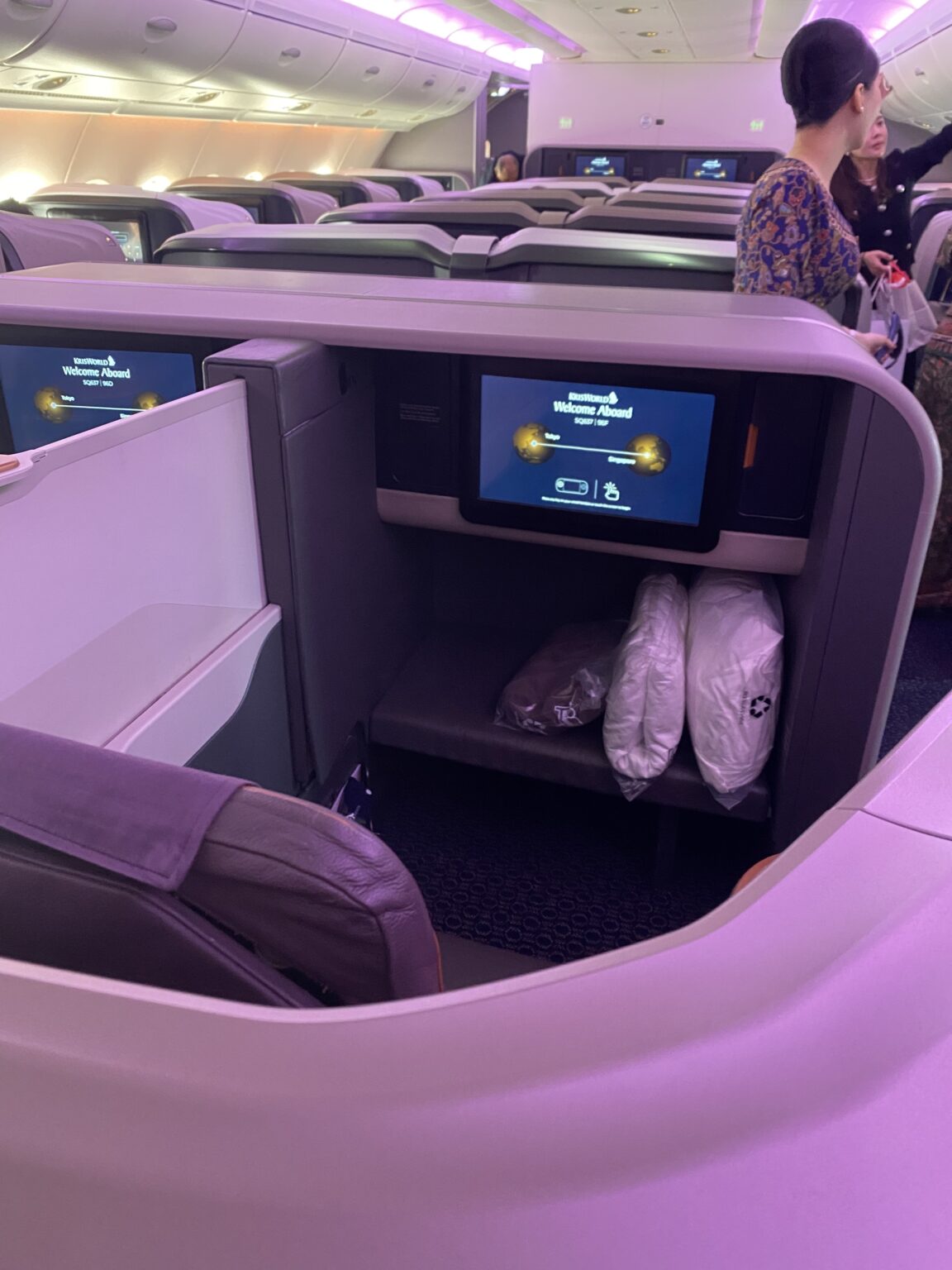 【搭乗記】シンガポール航空ビジネスクラス（NRT-SIN）A380-800 | CocoRi TRIP