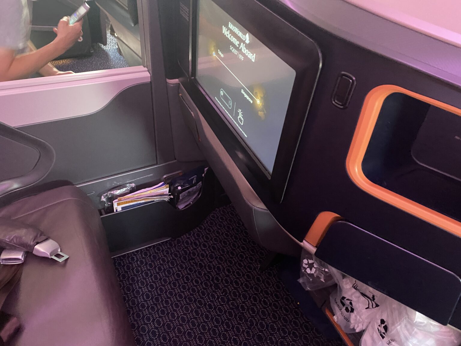 【搭乗記】シンガポール航空ビジネスクラス（NRT-SIN）A380-800 | CocoRi TRIP